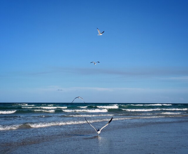 Stuart, Florida | Evie11 | Blipfoto