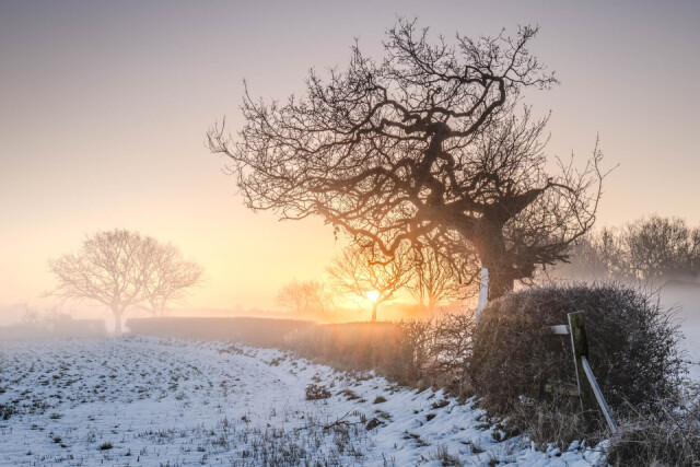 Snow, Mist and a Sunrise | GrahamColling | Blipfoto