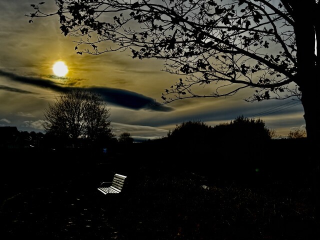 LATE EVENING WALK. | Larchlea | Blipfoto