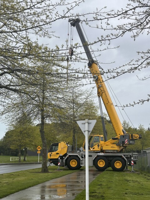 If you need a crane... | AndrewNZ | Blipfoto