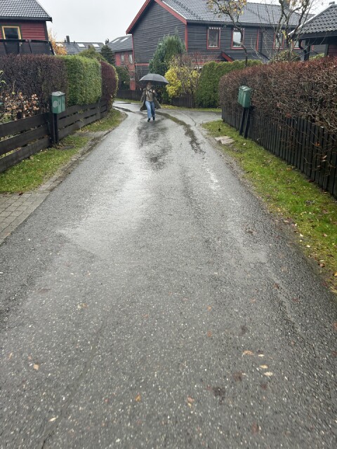 A rainy day | Berger | Blipfoto