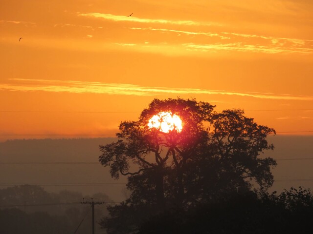 Sunrise. | Midlander | Blipfoto