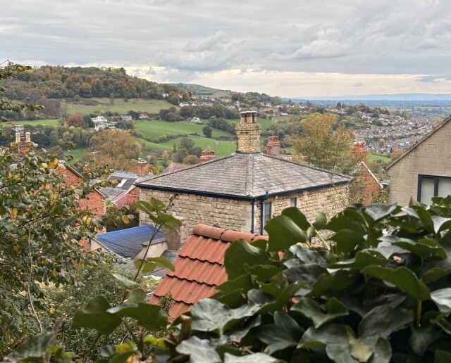 Full Fibre Friday | woodpeckers | Blipfoto