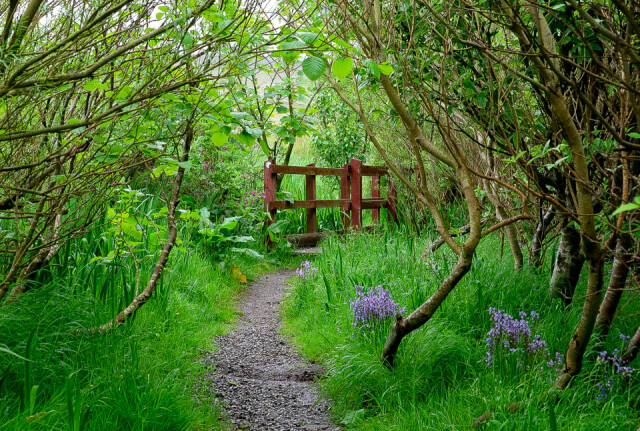 Green Along the Burn | Lifeat60Degrees | Blipfoto